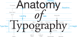 Typography: The Anatomy of a Letter - Osman Assem