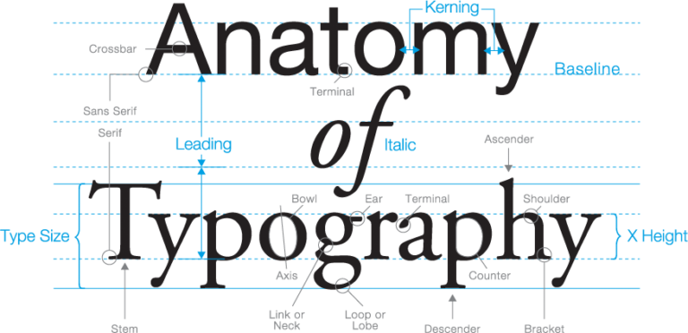 Typography: The Anatomy of a Letter - Osman Assem