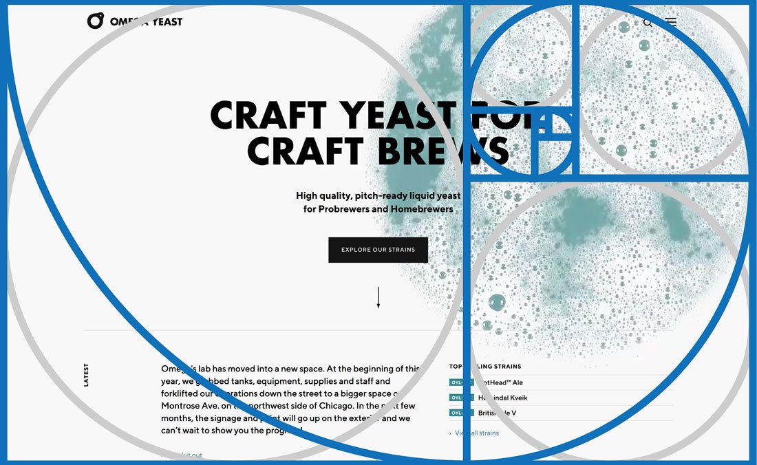 The Golden Ratio in Design: Examples & Tips - Osman Assem
